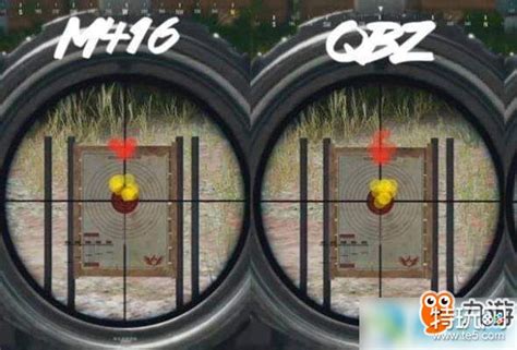 和平精英qbz和m416哪个好？和平精英qbz和m416对比详解特玩网