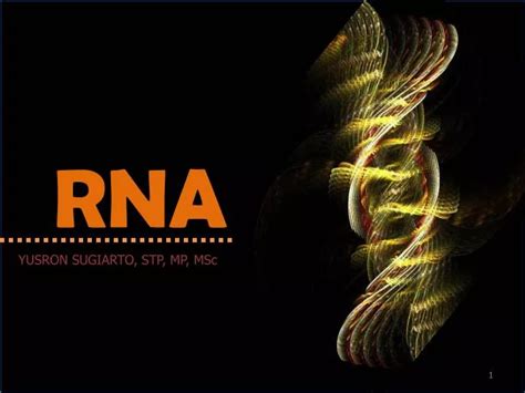 PPT RNA PowerPoint Presentation Free Download ID 3827867