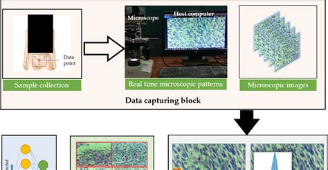 Figure 1 From A Novel Deep Learning Based Mitosis Recognition Approach And Dataset For Uterine