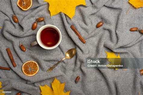 뜨거운 차 및 모직 담요 노란 단풍과 백색 전구 격자 무늬 따뜻함 편안 함 안락 개념 비문에 대 한 빈 공간 위에서 보기 0명에 대한 스톡 사진 및 기타 이미지 Istock