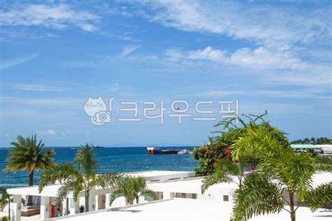 여름 바다 해변 야자수 코코넛 사진이미지일러스트캘리그라피 대송작가