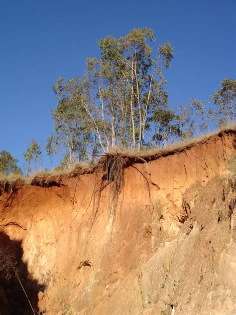 Lavaka