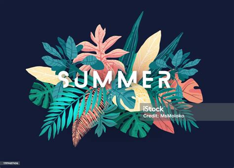 夏季熱帶向量設計橫幅或傳單與異國情調的棕櫚葉怪物和3d排版向量圖形及更多植物圖片 植物 加州 包裹 Istock