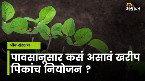 Kharif Crop Management खरीप पीक व्यवस्थापनात या गोष्टी महत्वाच्या