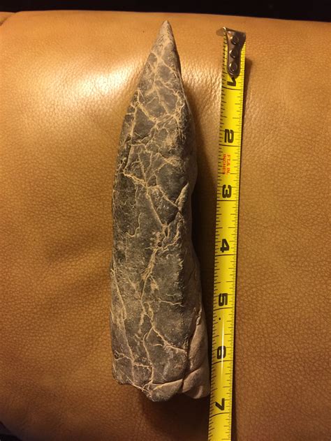 Dinosaur Coprolite Fossil Id The Fossil Forum