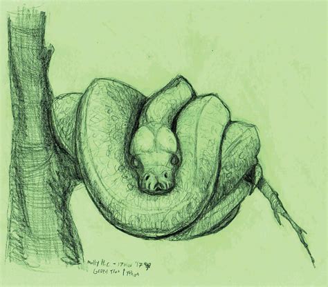 How To Draw A Tree In Python How To Draw A Tree In Python