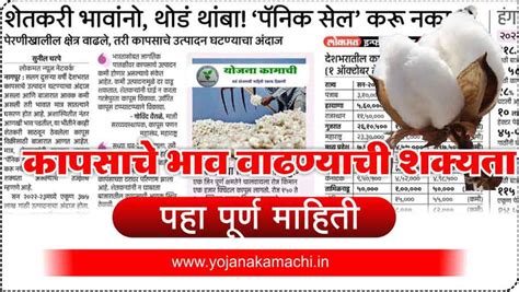 Cotton Rate कापसाच्या झाली भाववाढ सर्व जिल्ह्यातील कापूस बाजार भाव
