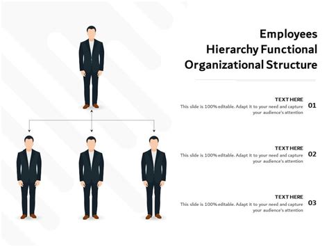 Employees Hierarchy Functional Organizational Structure Powerpoint Presentation Sample