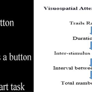 Visuospatial Attention Task Representation And Task Stimuli Sequence