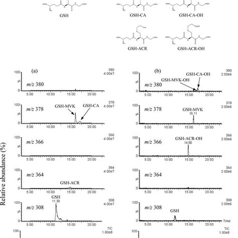 Total Ion Current Chromatogram Ticc And Extracted Ion Chromatograms