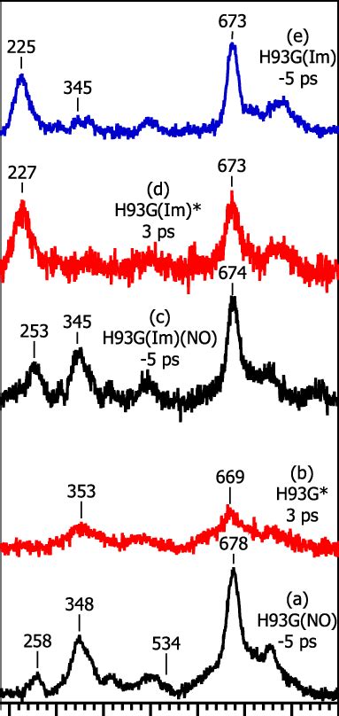 Time Resolved Resonance Raman Spectra Of Ferrous H93g Mb In Various