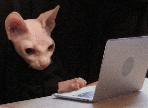 Pin By Ashes Wormhell On Anatomyart References Anatomy Art Art Reference Art