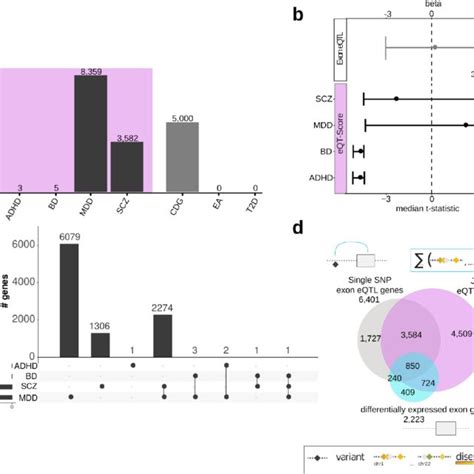 Multi Snp Effects And Their Influence On Cortical Expression A Bar Download Scientific