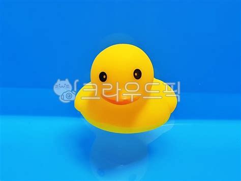 러버덕 고무오리 Rubberduck 욕조 샤워 사진 이미지 일러스트 캘리그라피 Peachlab작가