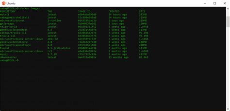 Installing The Docker Client On Windows Subsystem For Linux Ubuntu