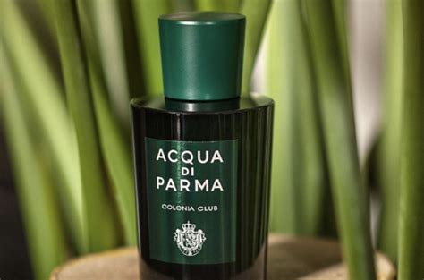 Acqua Di Parma Colonia Club아쿠아 디 파르마 콜로니아 클럽 아쿠아디파르마향수 종류｜남자향수추천