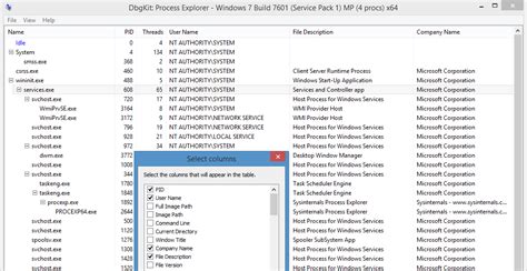 Windbg Process Descriptionuser And Publisher Information In Dump