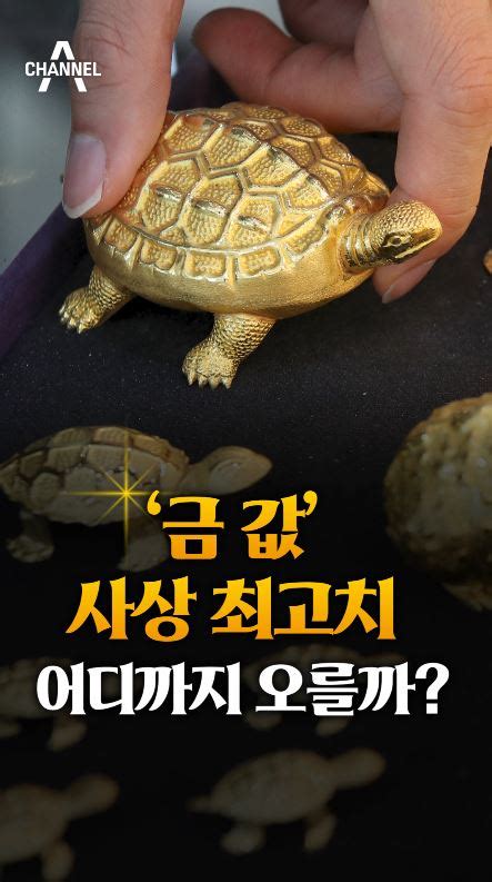‘금 값 사상 최고치 어디까지 오를까 인플레이션 오늘의 숏 Beta