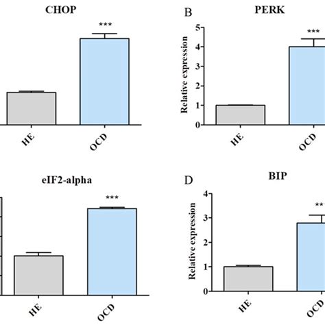 Expression Of Endoplasmic Reticulum Er Stress Related Genes In Order