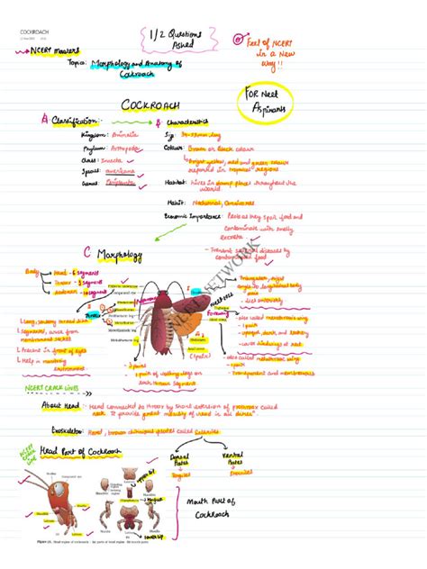 Cockroach One Shot Notes Watermark 1 Pdf