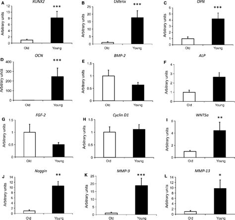 quantitative rt pcr analysis of osteogenesis related genes in human