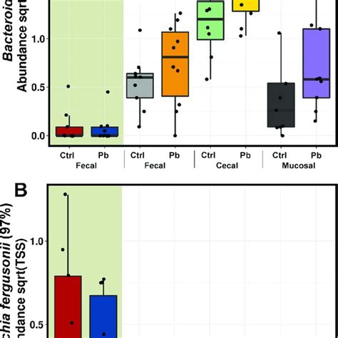 Segmented Filamentous Bacteria Sfb Image Courtesy Of N H S And P Download Scientific