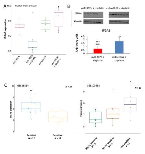 Integrin Subunit Alpha 6 Itga6 Expression In Tumor From Mice Treated Download Scientific