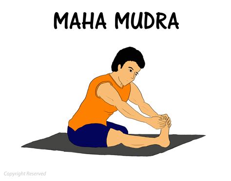 Maha Mudra Stepshow Tobenefits Precautions Contraindications