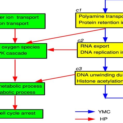 combined kripke model download scientific diagram