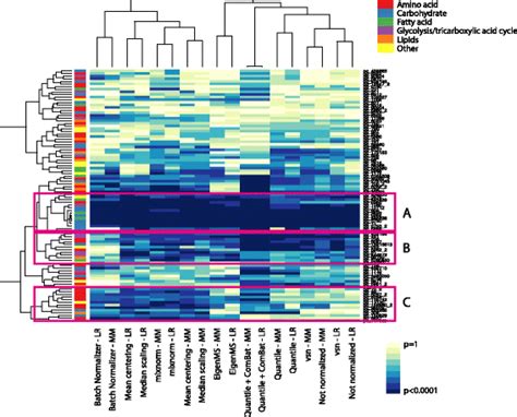 Heatmap Of Associations With Maternal Fasting Plasma Glucose Fpg For