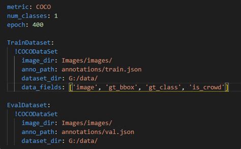 自定义coco数据集的问题 Issue PaddlePaddle PaddleDetection GitHub