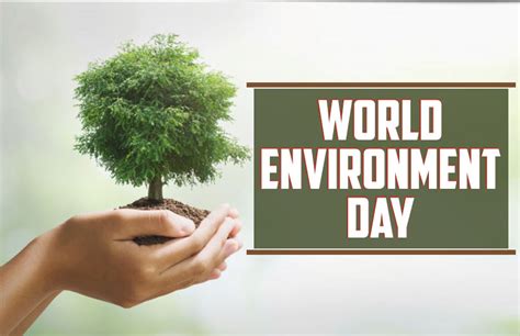 World Environment Day 2020 विश्व पर्यावरण दिवस क्यों मनाया जाता है