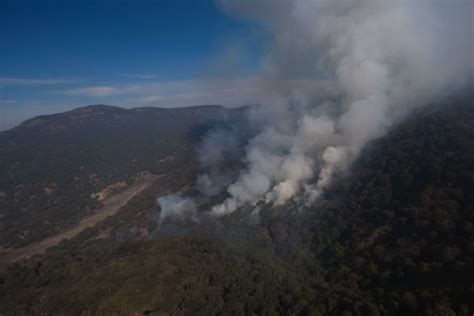 Guadalajara Declaran Emergencia Atmosférica Por Incendio En Bosque ‘la