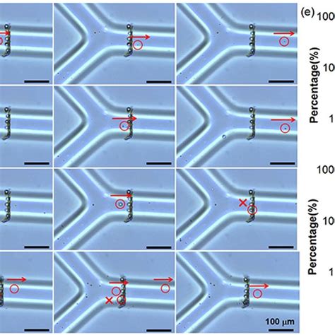 Schematic Illustration Of Fs Laser Multifoci Parallel Integration Of Download Scientific