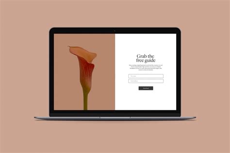Newsletter Signup Tips Examples To Gain More Subscribers