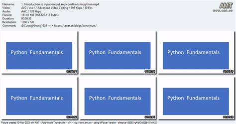 Python Basics By Raghavendra Swamy Softarchive