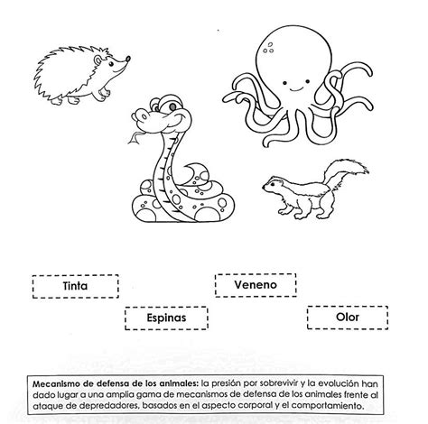 Mecanismos De Defensa De Los Animales Ajore