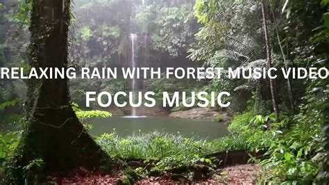 Hours Relaxing Rain With Sleeping Music Stady Music Nature Rain Sound YouTube