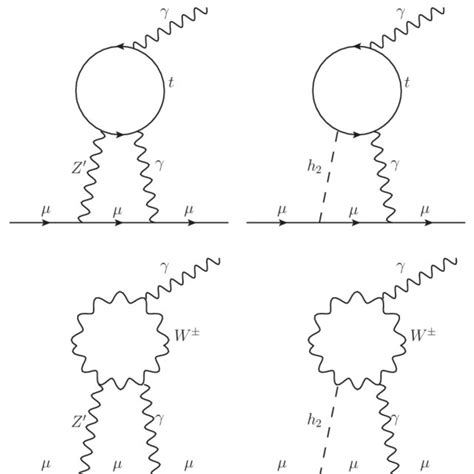 Barr Zee Type Two Loop Diagrams Contributing To ∆a µ Download Scientific Diagram