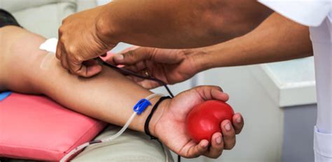 Doh Licensure Examination For Phlebotomy Download Mcqs