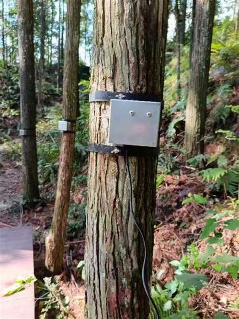 自动气象站、树干液流监测站、水文水质监测站、土壤墒情监测站等 东方鑫鸿（北京）科技有限公司