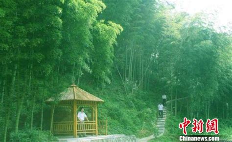 专家学者为著名台乡广东蕉岭旅游把脉开方 凤凰网资讯 凤凰网