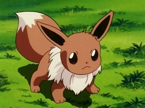 Image Gary Eevee Png Pokémon Wiki Fandom Powered By Wikia
