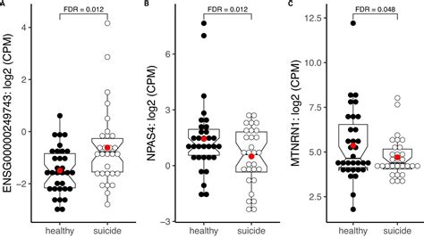 В мозге совершивших суицид нашли признаки воспаления Alev Biz — Livejournal