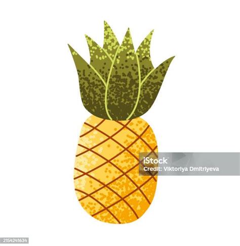 파인애플 아이콘입니다 흰색 배경에 고립 된 열 대 과일 기호입니다 손 그리기 낙서 Ananas 그래픽 벡터 그림 0명에 대한