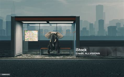 코끼리는 배경에 도시와 버스 정류장에 앉아 이것은 3d 렌더 그림입니다 버스에 대한 스톡 사진 및 기타 이미지 버스 잃은