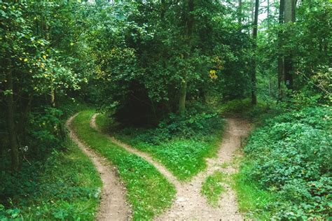 Our View Fight The Dimming Of American Democracy Charleston City Paper