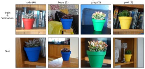 Class Activation Maps Cams From Scratch A Data Odyssey