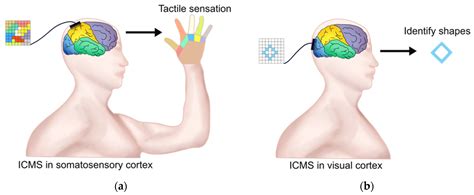 Modulating Brain Activity With Invasive Braincomputer Interface A