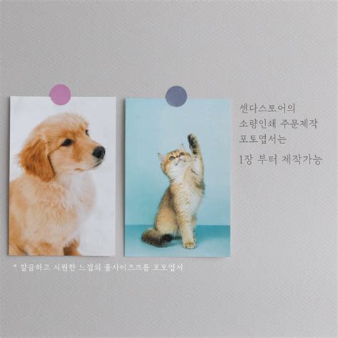 기억에 남는 퇴사 인사말 문구작별인사말 퇴사편지 멘트 모음 네이버 블로그